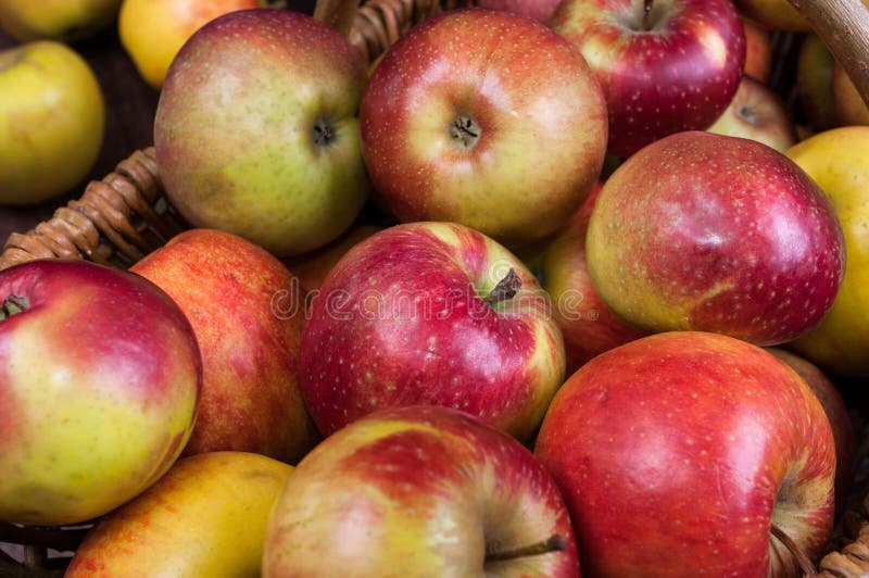 Apple time stock image. Image of basket, grass, dessert - 44868965