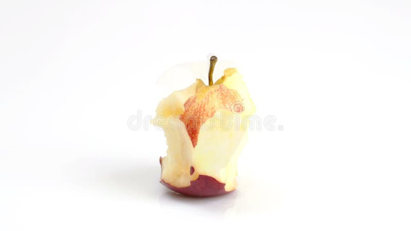 Apple stock footage. Video of grow, natural, orchard - 38832228