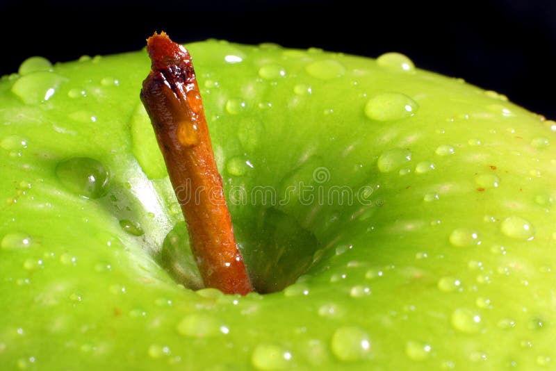 Apple Top stock photo. Image of nutritious, fruit, healthy - 2194132
