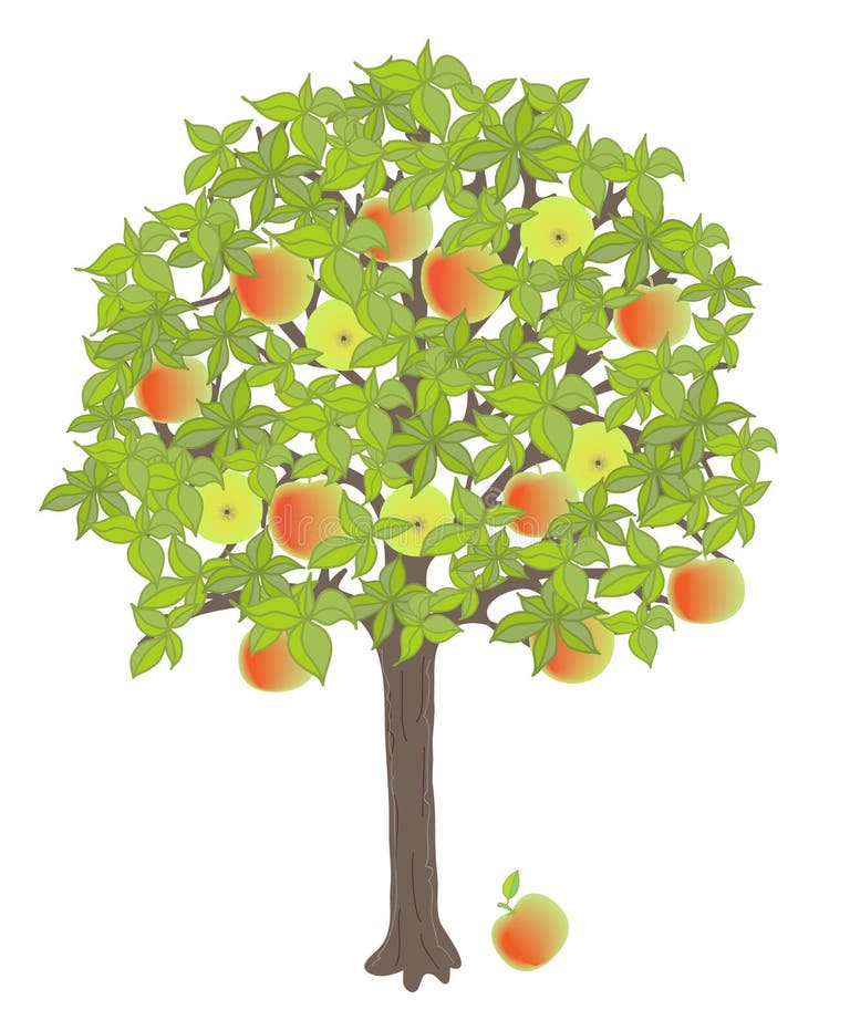 Harvesting Apple Tree Stock Illustrations – 1,454 Harvesting Apple Tree ...