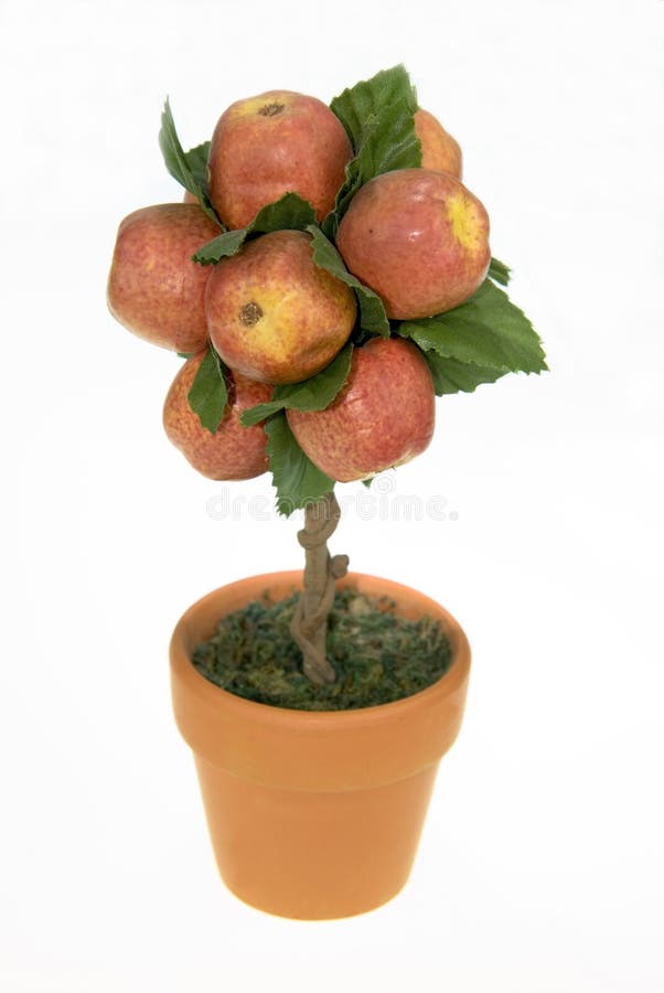 Apple Tree Free Stock Photos & Pictures, Apple Tree Royalty-Free and ...