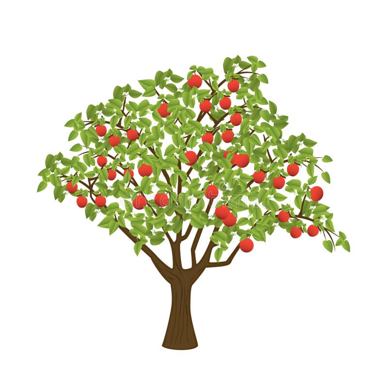 Ripe Apple Tree Stock Illustrations – 5,658 Ripe Apple Tree Stock ...