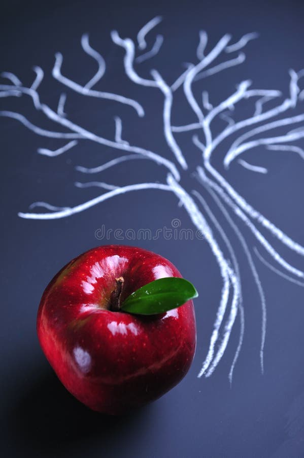 Apple and tree stock image. Image of botany, environment - 8641879