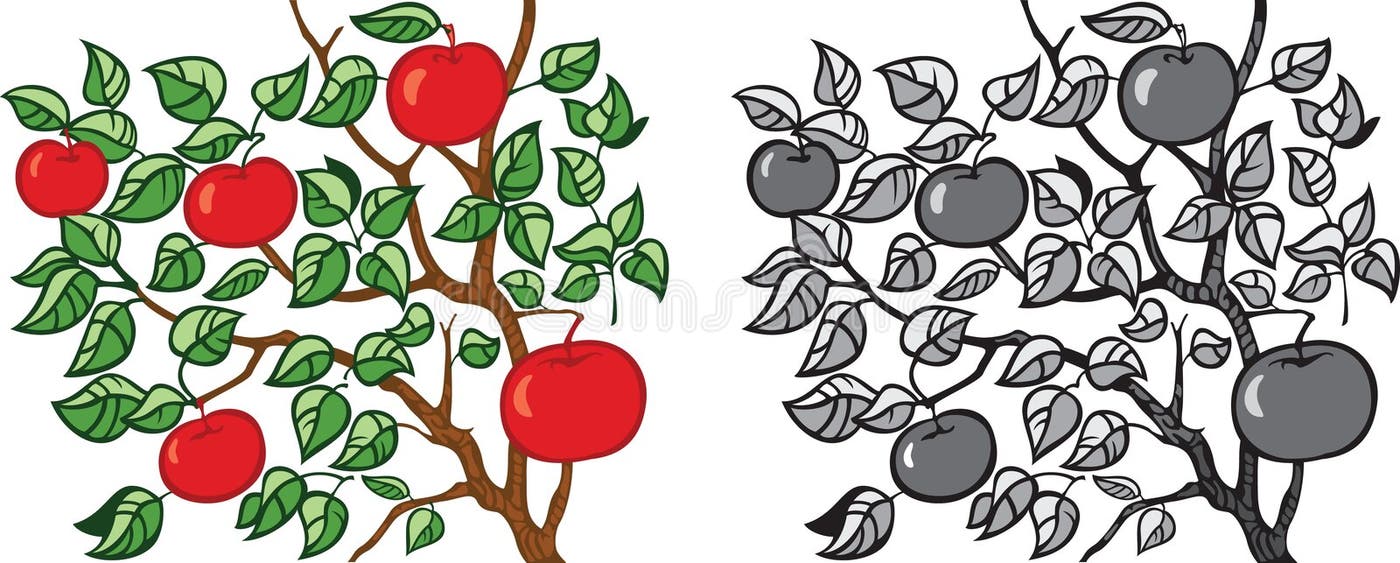 Harvesting Apple Tree Stock Illustrations – 1,454 Harvesting Apple Tree ...