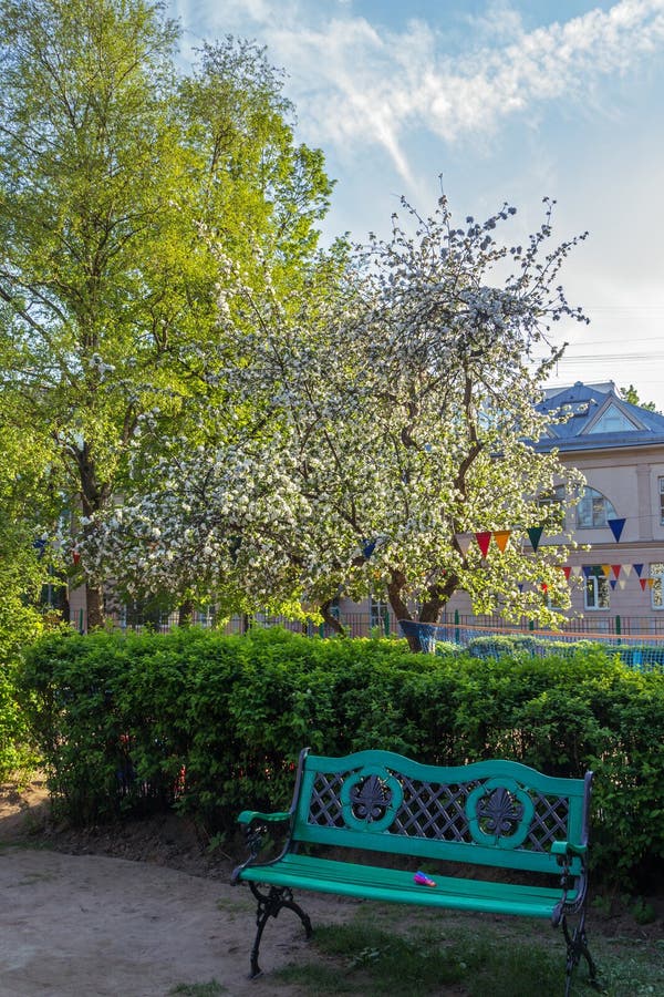 Apple tree and bench stock image. Image of flags, outdoors - 53237513