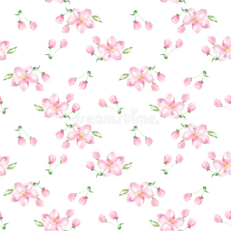 Apple Tree in Bloom 11. Seamless Pattern. Watercolor Flowers. Stock ...