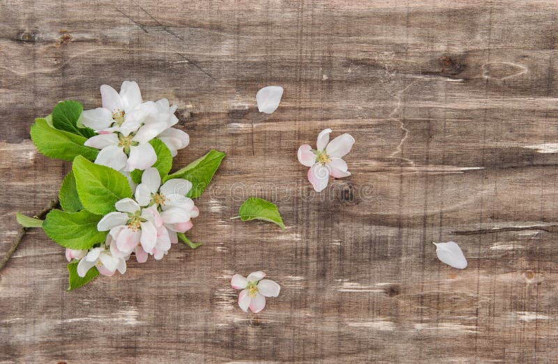 Rustic Spring Flower Wallpaper