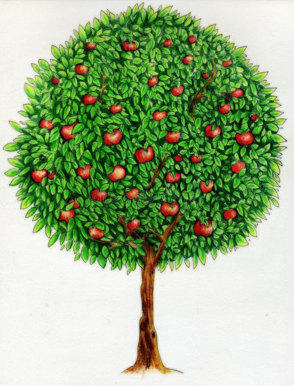 Apple tree drawing stock illustration. Illustration of circle - 12906720