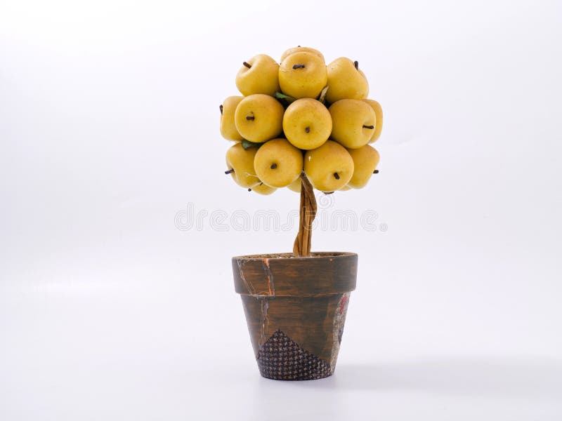 Best Plant Pot For Apple Tree at Rebecca Dortch blog