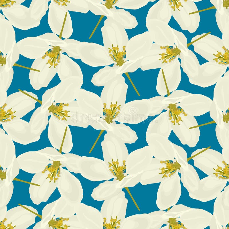 Apple Tree Flowers Seamless Pattern. EPS10 Vector Illustration. Stock ...