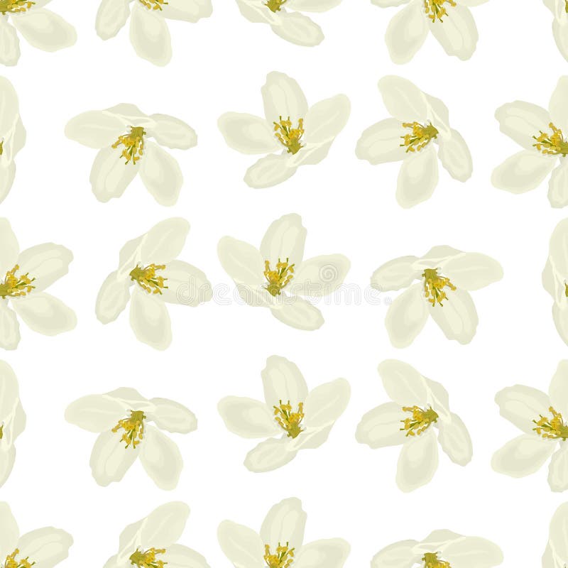 Apple Tree Flowers Seamless Pattern. EPS10 Vector Illustration. Stock ...