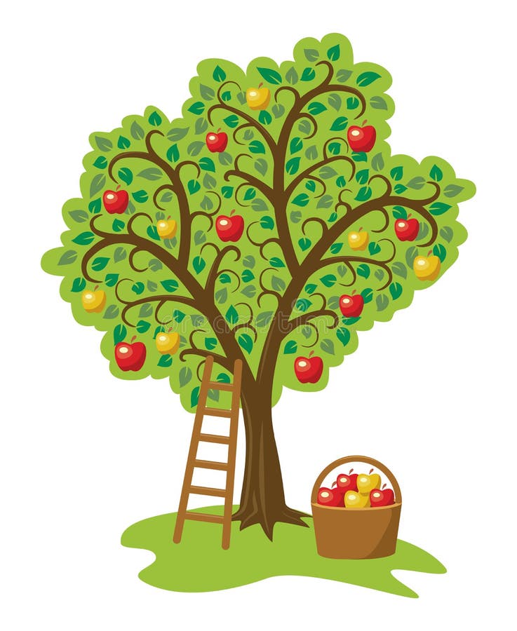 Apple Tree with Fruits, Basket and Ladder, Vector Stock Vector ...