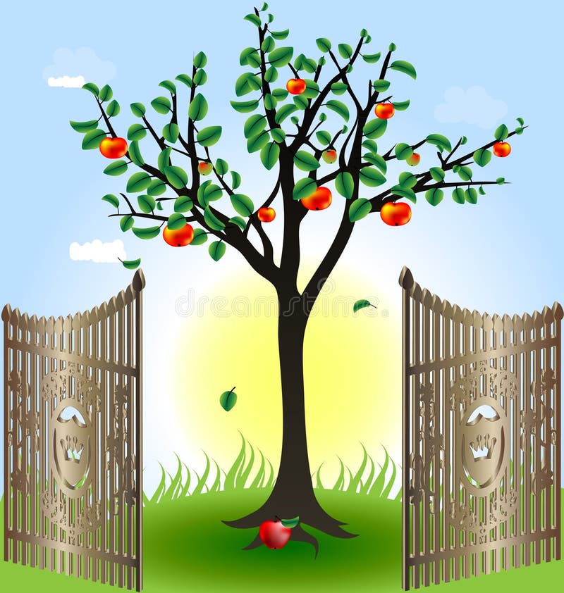 Apple tree and gates stock vector. Illustration of fine - 19419192