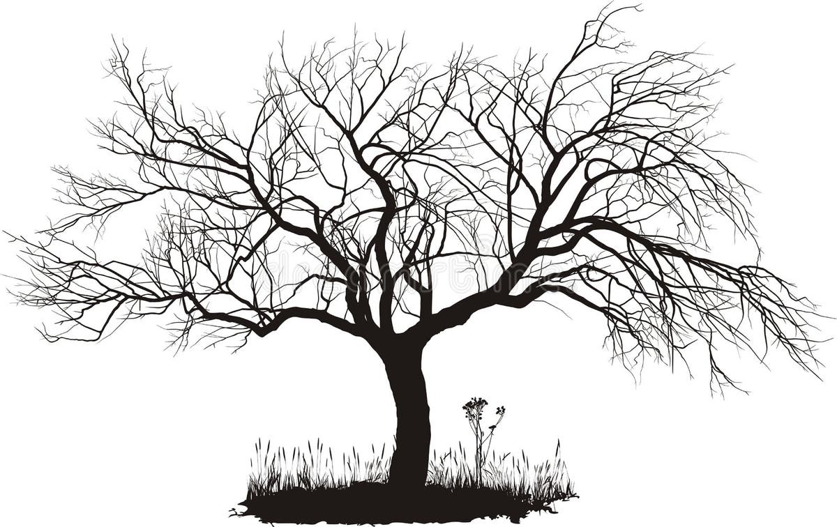 Apple Tree Line Drawing Stock Illustrations – 2,346 Apple Tree Line ...