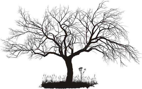 Apple Tree Line Drawing Stock Illustrations – 3,707 Apple Tree Line ...