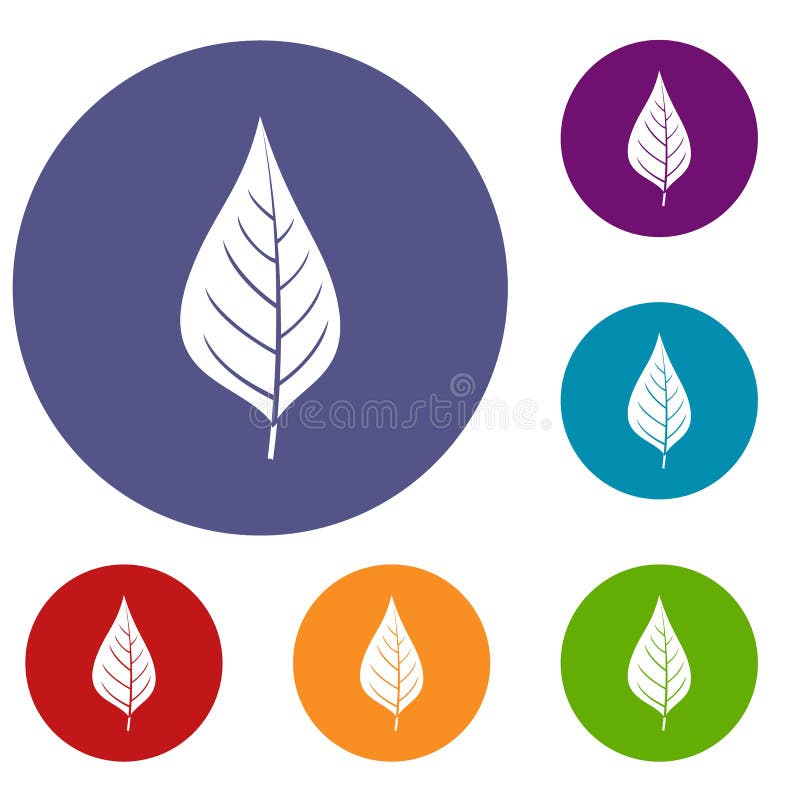 Apple tree leaf icons set stock vector. Illustration of icons - 96646883