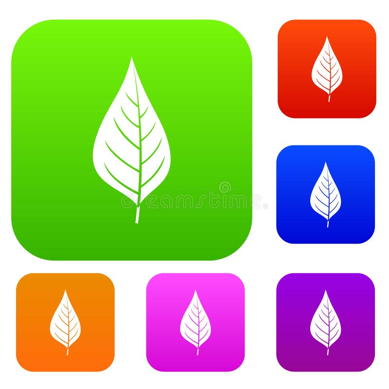 Apple Tree Leaf Set Color Collection Stock Vector - Illustration of ...