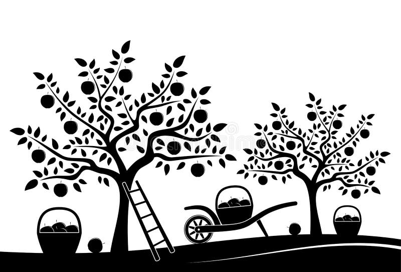 Apple tree orchard stock vector. Illustration of fresh - 198168613