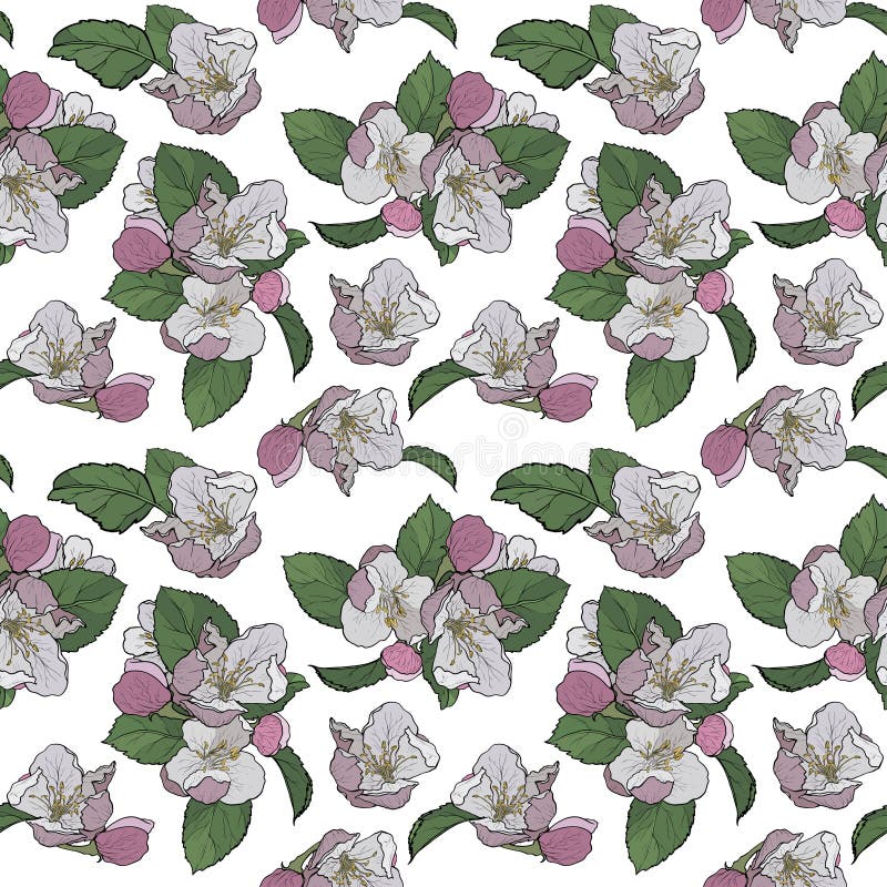 Apple-tree Seamless Background, Pattern of Spring Flowers Stock Vector ...