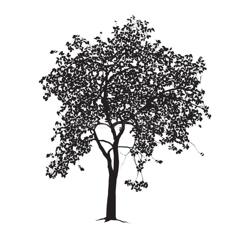 Vector Silhouette Apple Tree Stock Illustration - Illustration of ripe ...
