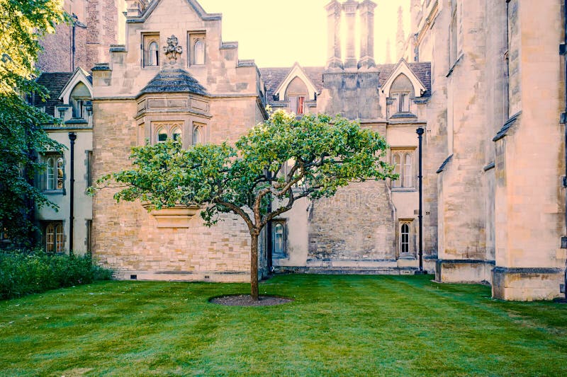 Newton Apple Tree Trinity Stock Photos - Free & Royalty-Free Stock ...