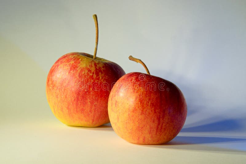 Almost The Same - Twins stock image. Image of posing - 30761577