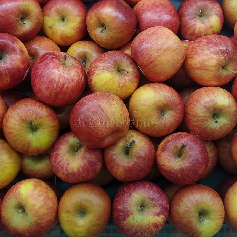 Apple two tone stock image. Image of evergreen, tone - 222777441