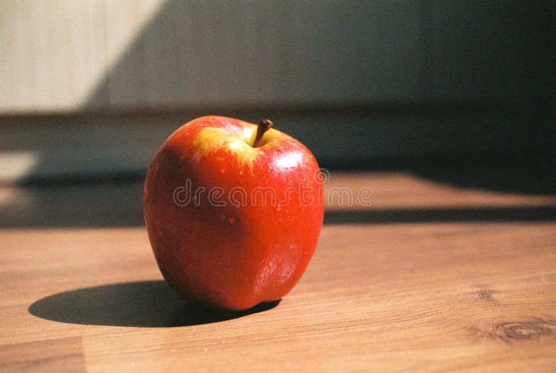 Apple under the sunshine stock photo. Image of fresh - 343478118