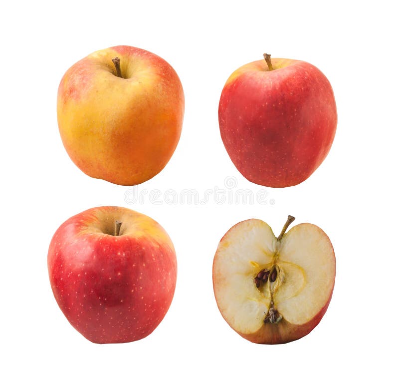 Apple Florina Stock Photos - Free & Royalty-Free Stock Photos from ...