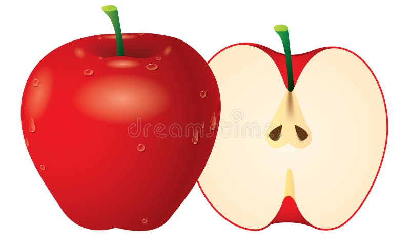 Words Small and Big Flashcard with Cartoon Red Apple. Opposite ...
