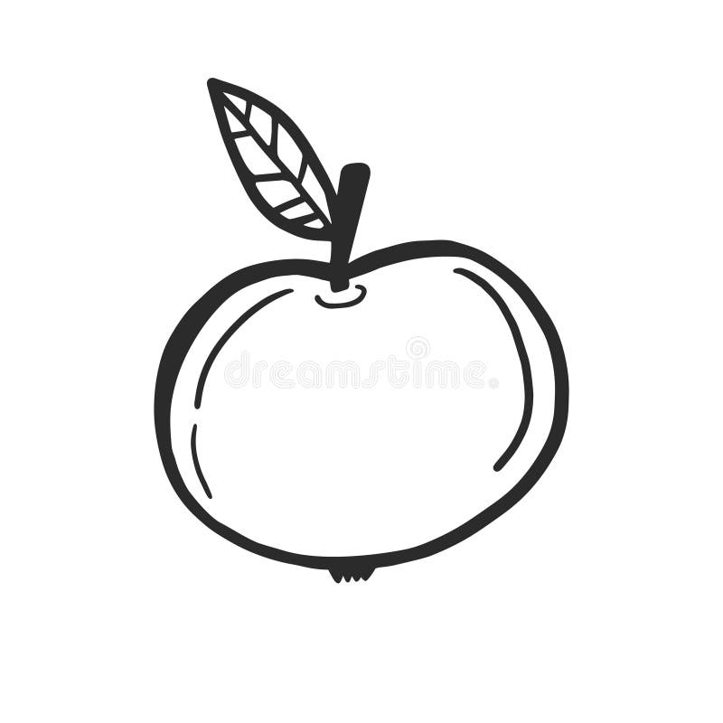 Apple. Vector Drawing of an Apple Stock Illustration - Illustration of ...