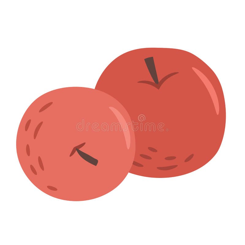 Apples Vector Illustration Isolated on White Stock Vector ...