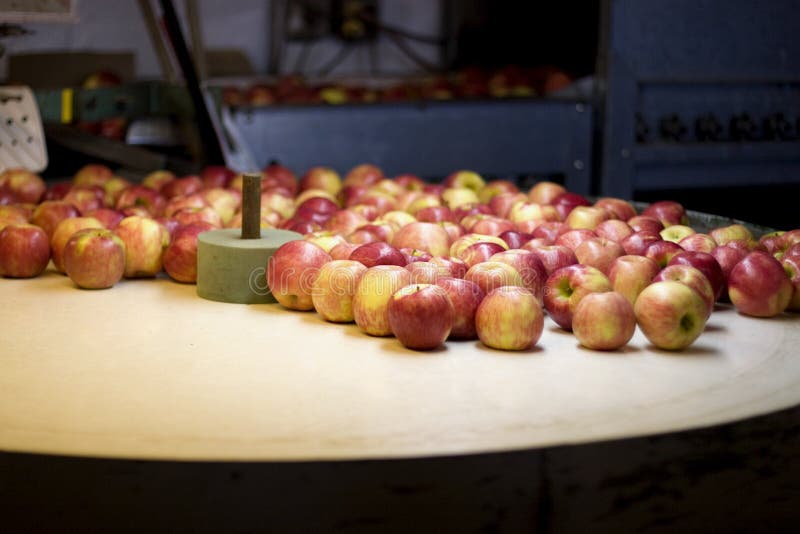 Apple Washing stock image. Image of happy, droplets, freshness - 9158615