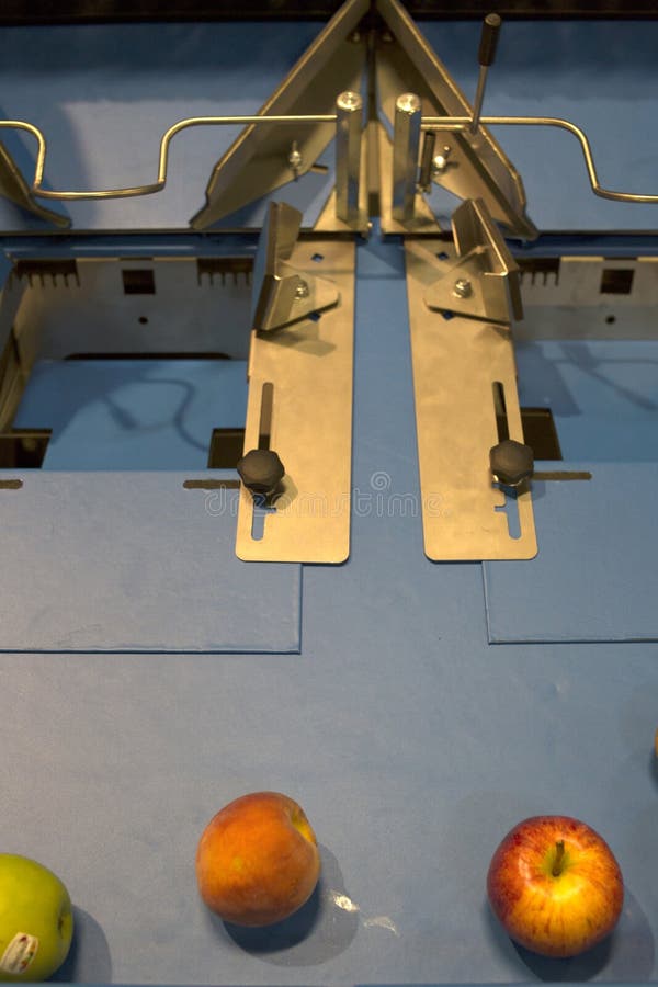 Apple washing machine stock photo. Image of sorting, apples - 42415868