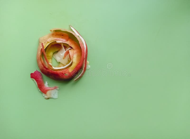 Apple waste. stock image. Image of fresh, recycling - 213131291