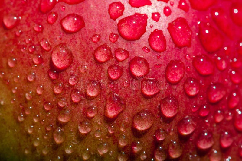 Apple with water drops stock image. Image of color, rain - 166201057