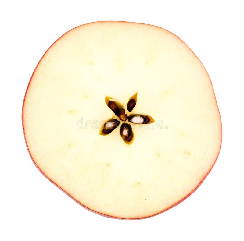 Apple slice stock image. Image of apple, circle, isolated - 29466955