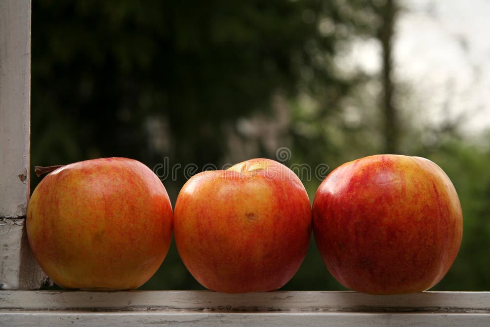 Apple window stock image. Image of fall, diet, delicious - 2449691