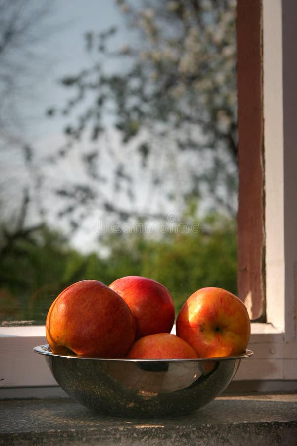 Apple window stock image. Image of agriculture, fodd, window - 2449747