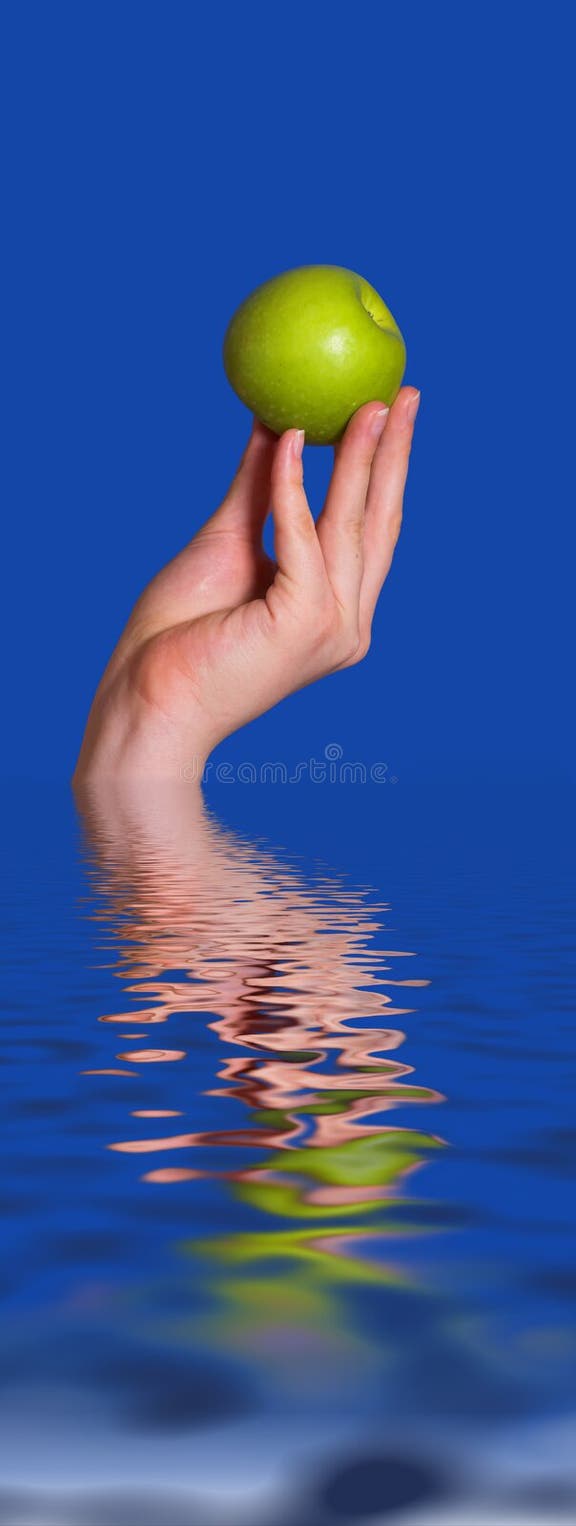 Apple of wisdom stock photo. Image of colour, losing, education - 1837850