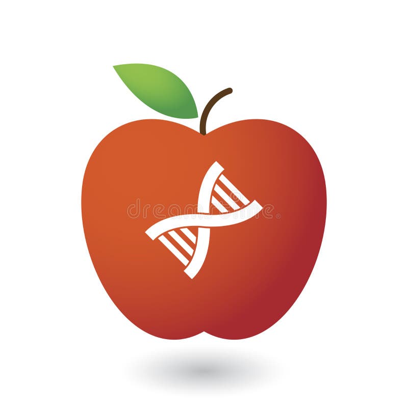 Apple y DNA ilustración del vector. Ilustración de genético - 33603851