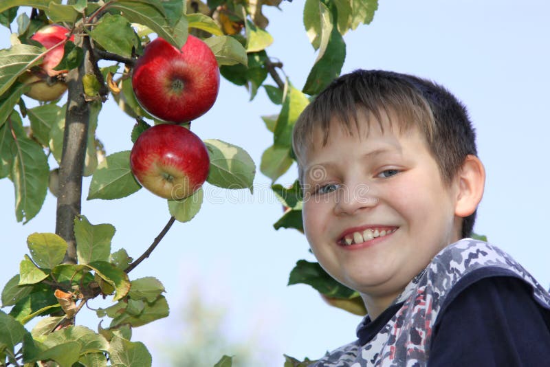 Appleboy II stock image. Image of cheerful, tree, childhood - 17576083