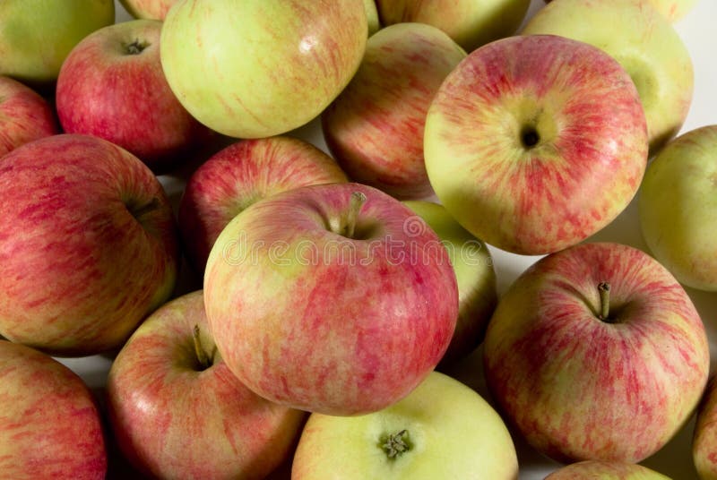 Multi color apples stock photo. Image of apple, natural - 3921694