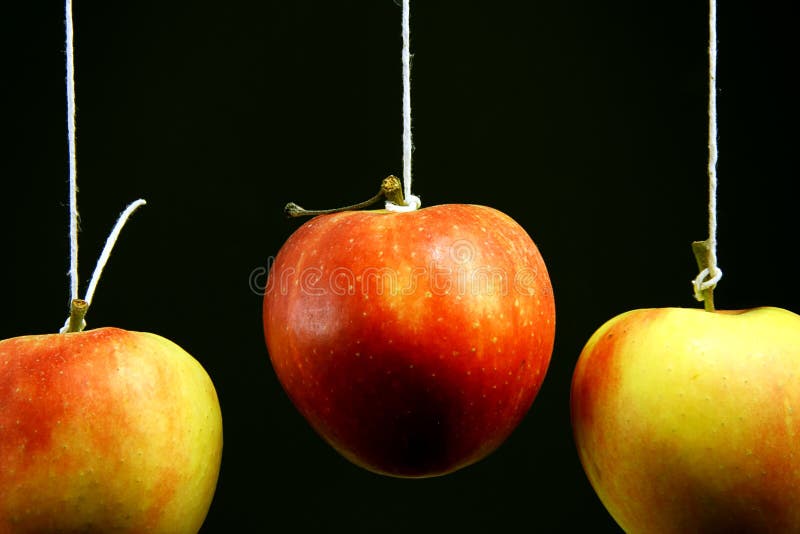 Apples stock photo. Image of string, apple, hanging, fruit - 11168680