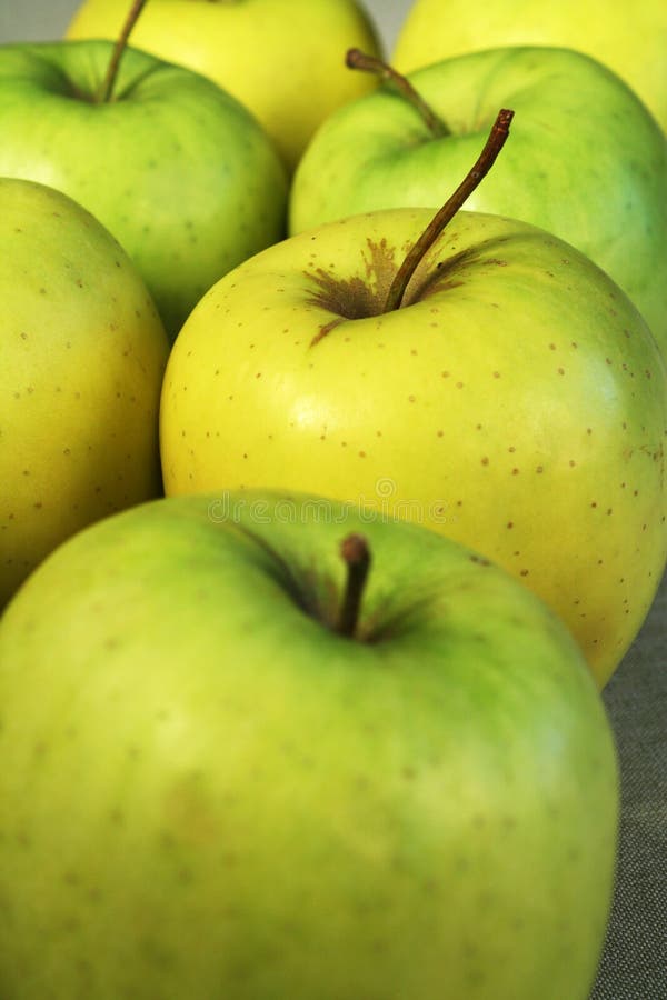 Apples stock image. Image of nature, fruits, lifestyle - 14122013