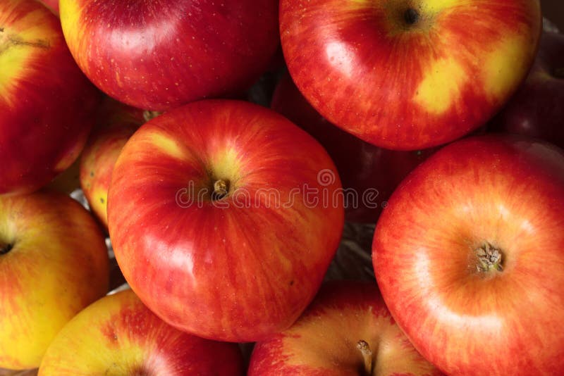Apples stock photo. Image of soft, inside, apple, pour - 16851468