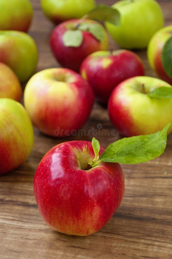 Autumn Apples stock image. Image of snack, woven, picked - 16230005