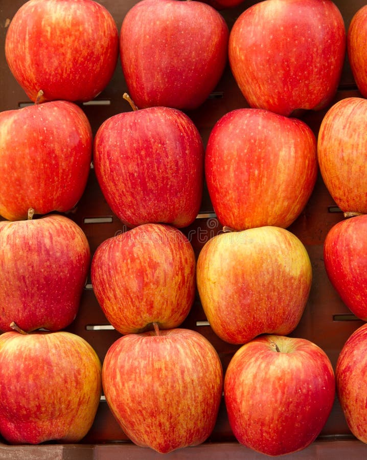 Apples stock image. Image of fruit, freshness, leaf, colorful - 21380037