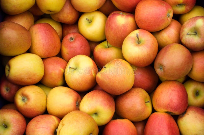 Apples stock image. Image of farm, core, group, arrangement - 23693819