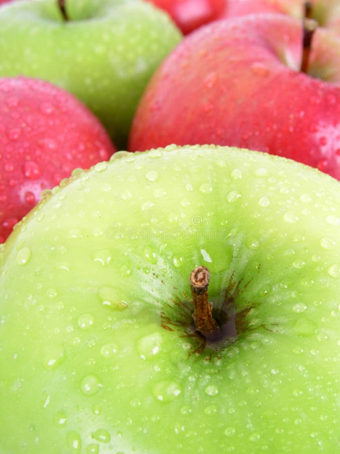 Apples stock image. Image of apples, food, produce, eating - 240697